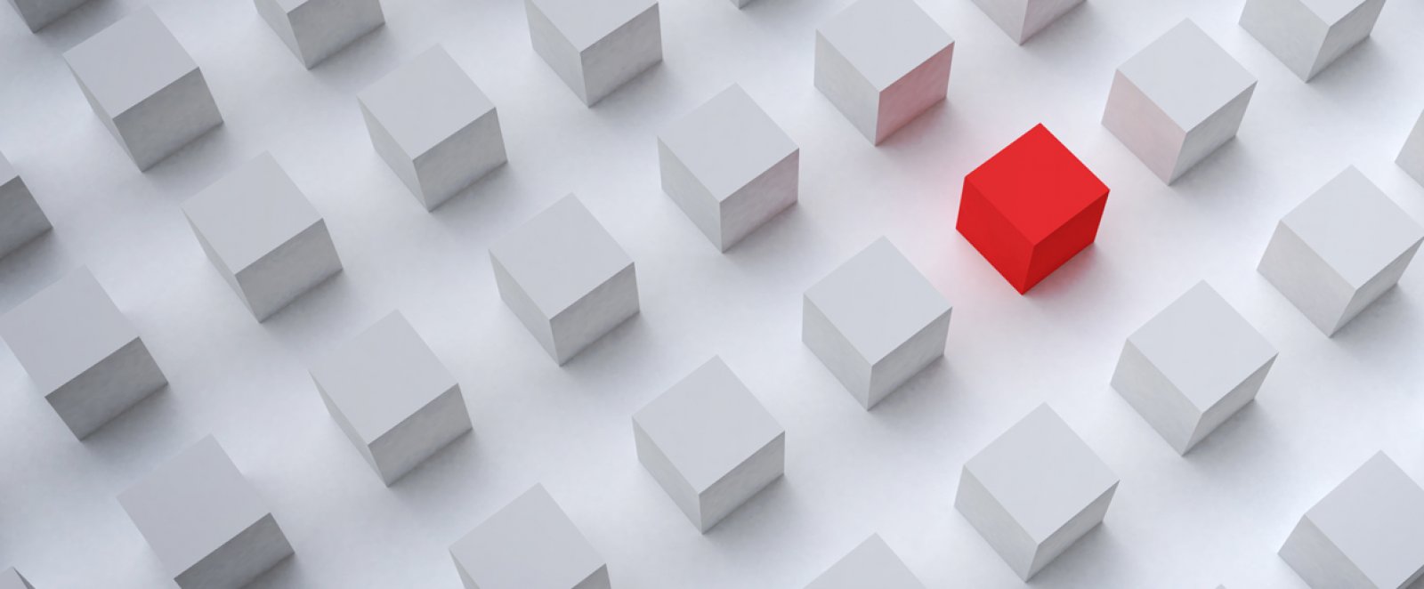 LegalEASE | Legal Access